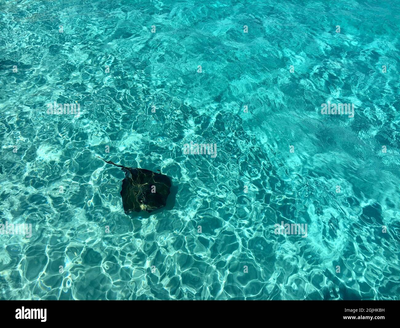 Indonesia and cayman islands hi-res stock photography and images - Alamy