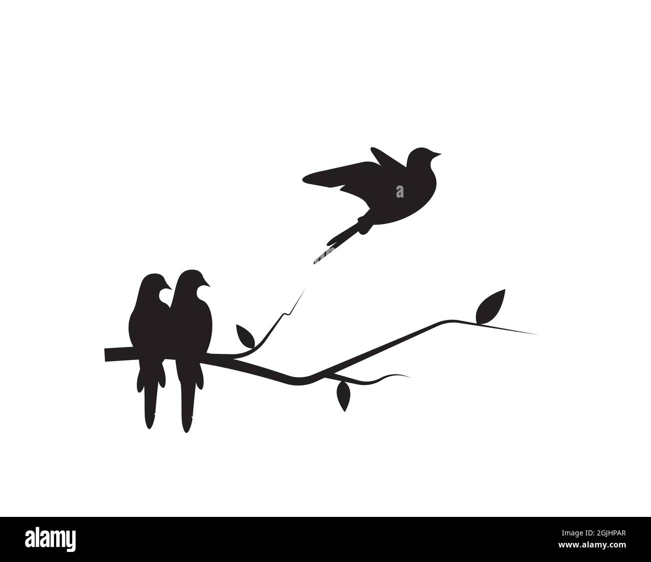 Birds On A Branch Clipart Black And White