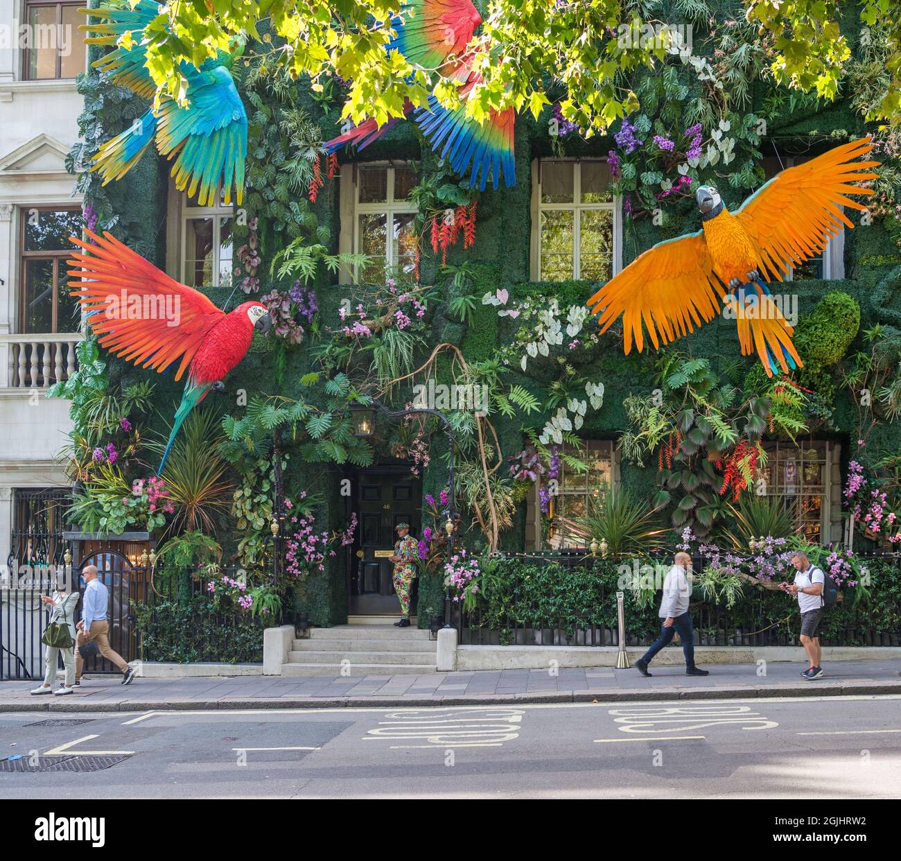 Annabels members club hi-res stock photography and images - Alamy