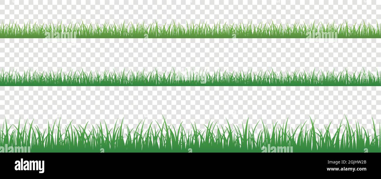 green grass meadow border vector pattern isoladet Stock Vector Image ...