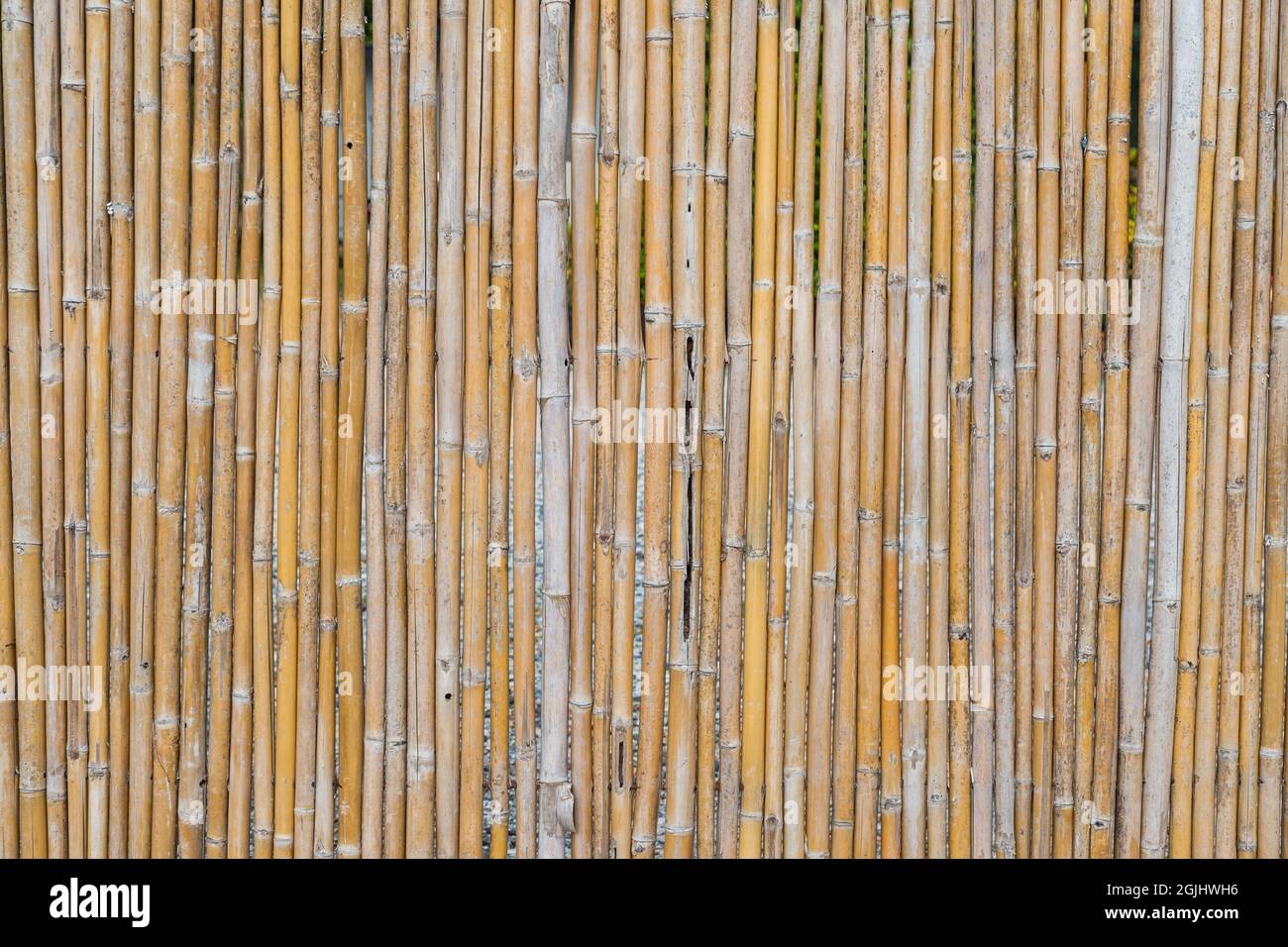 Pattern of bamboo fencing texture background Stock Photo - Alamy