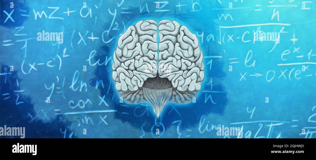 Brains on the background of mathematical formulas. Mathematical concept ...