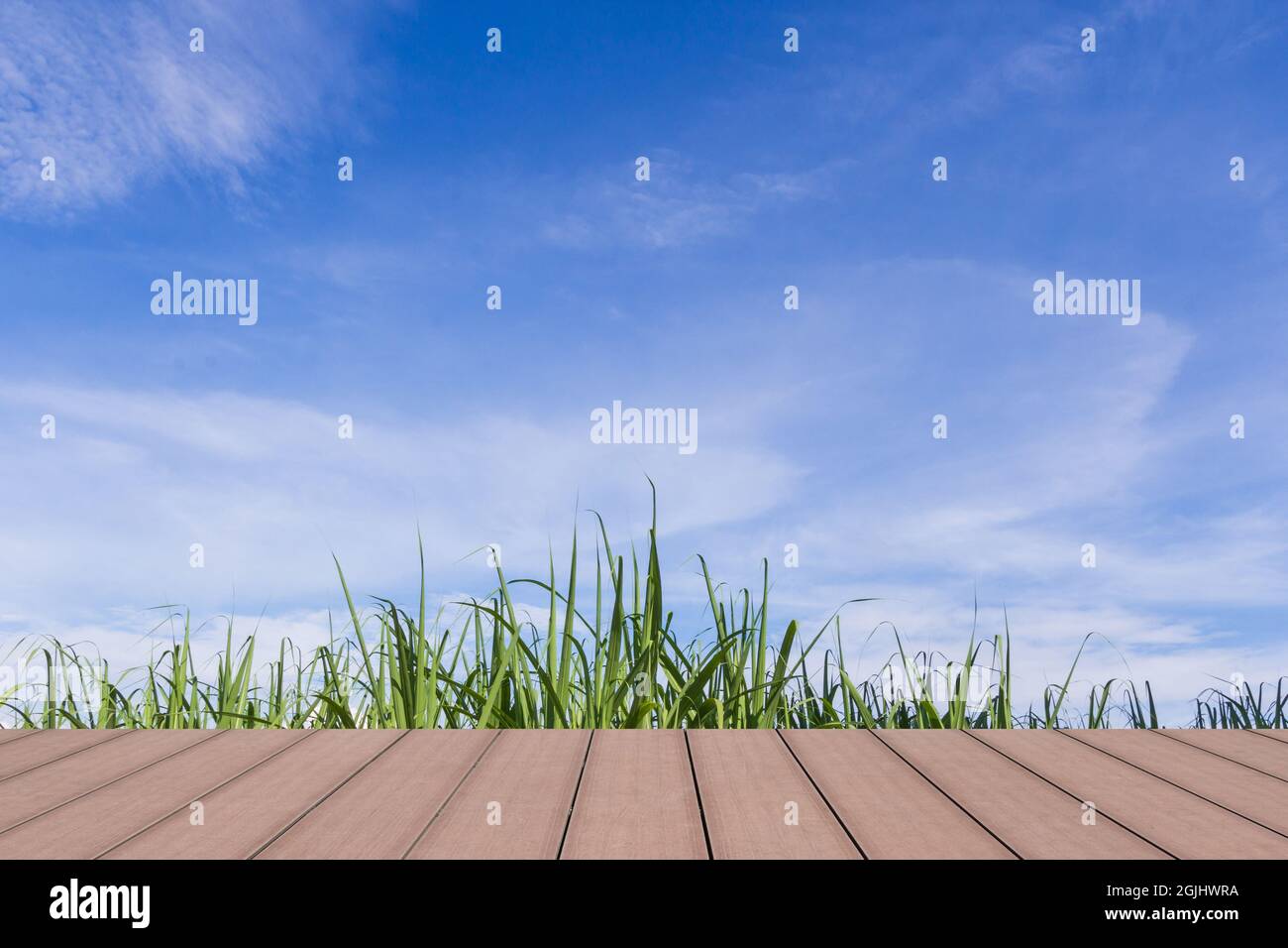 Green grass artificial turf pattern background Stock Photo - Alamy