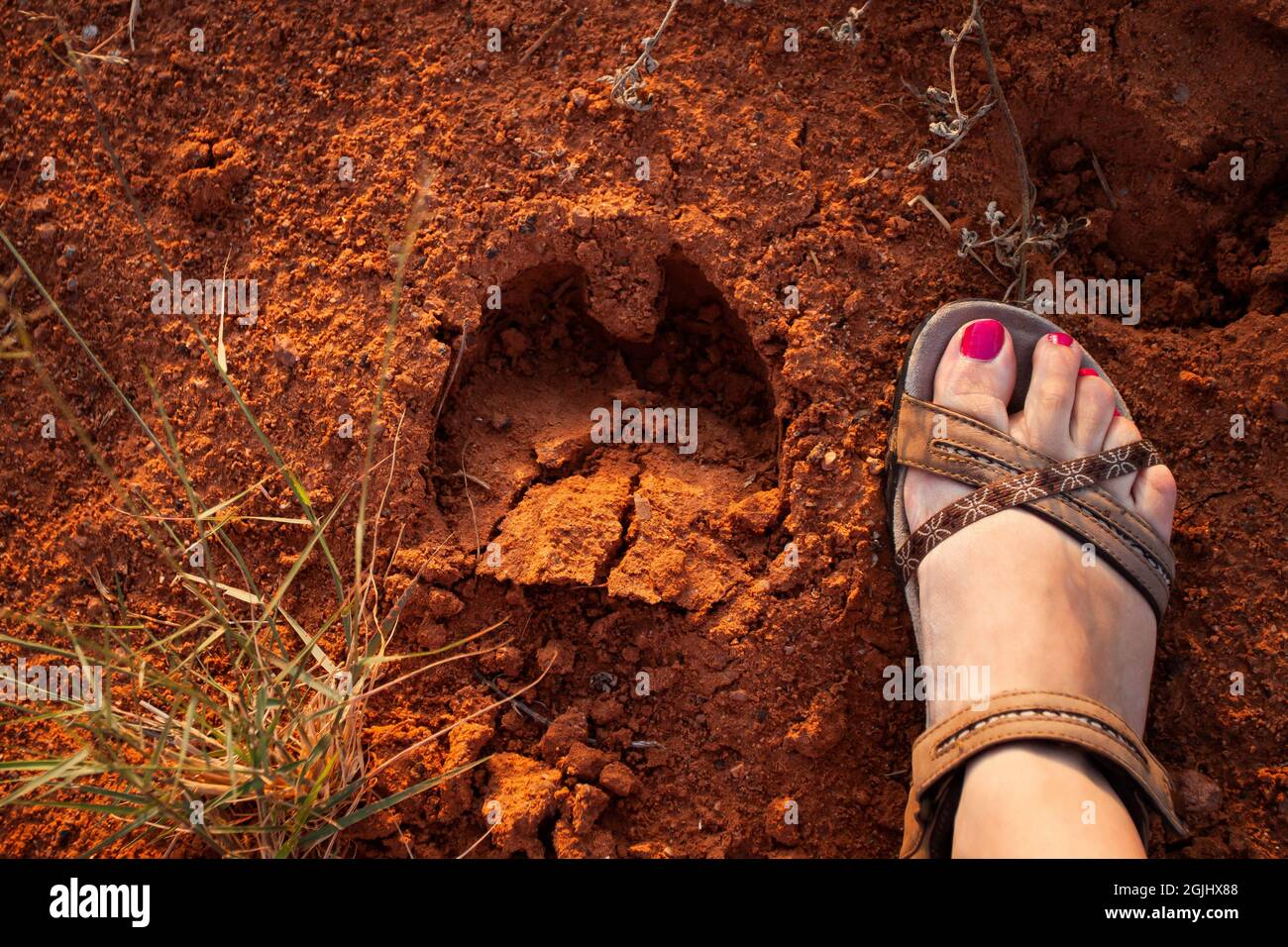 Print travel hi-res stock photography and images - Alamy