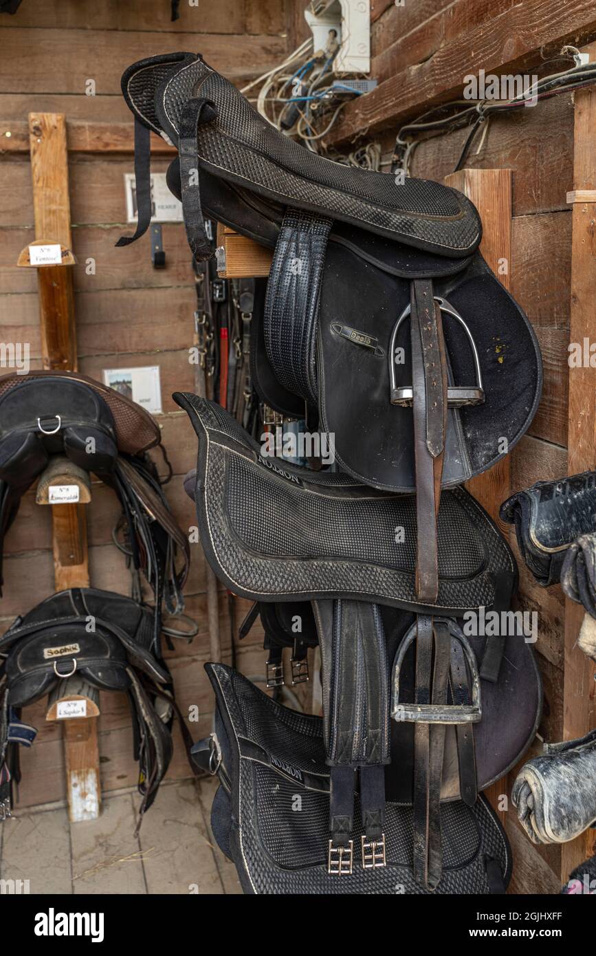 How To Hang Horse Harness On Wall at Lincoln Pie blog