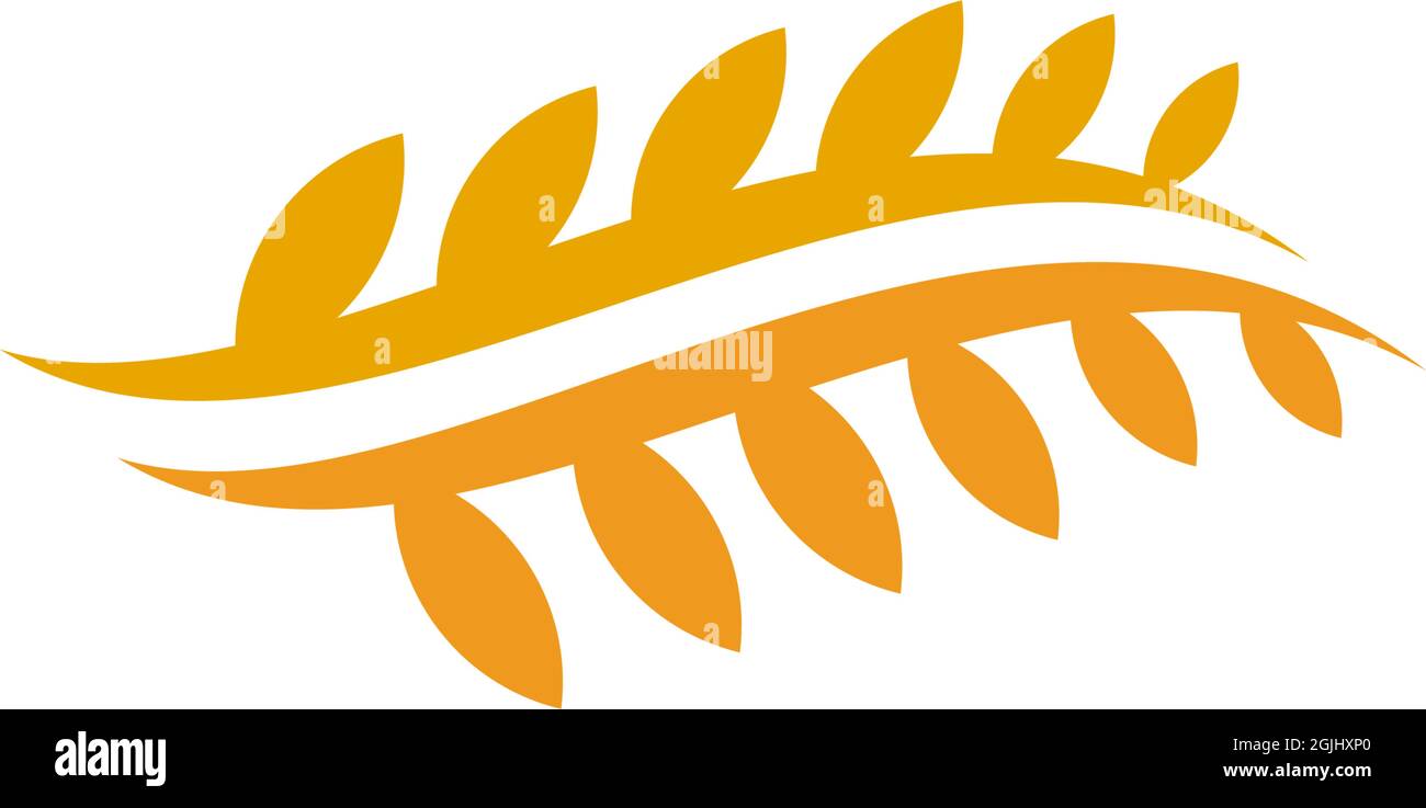 Agriculture wheat leaf icon logo design inspiration vector template ...