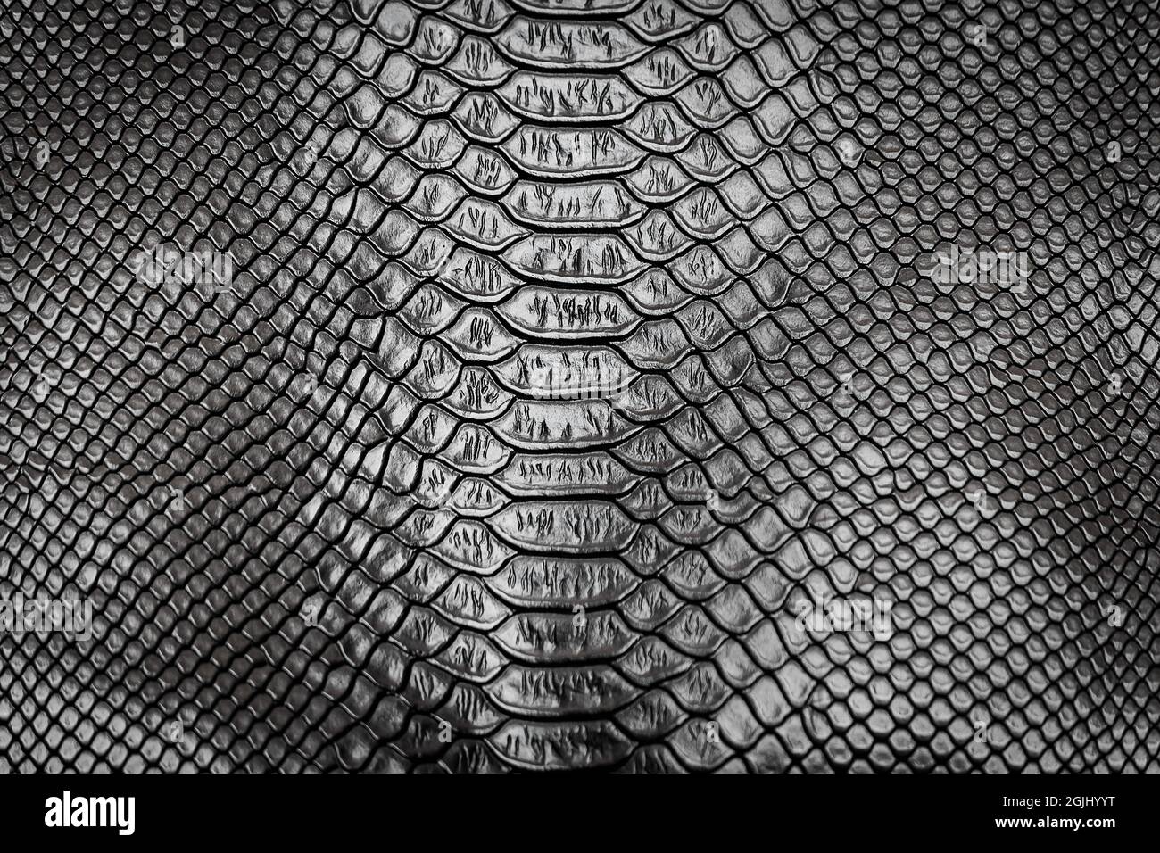 Snake skin pattern hi-res stock photography and images - Alamy