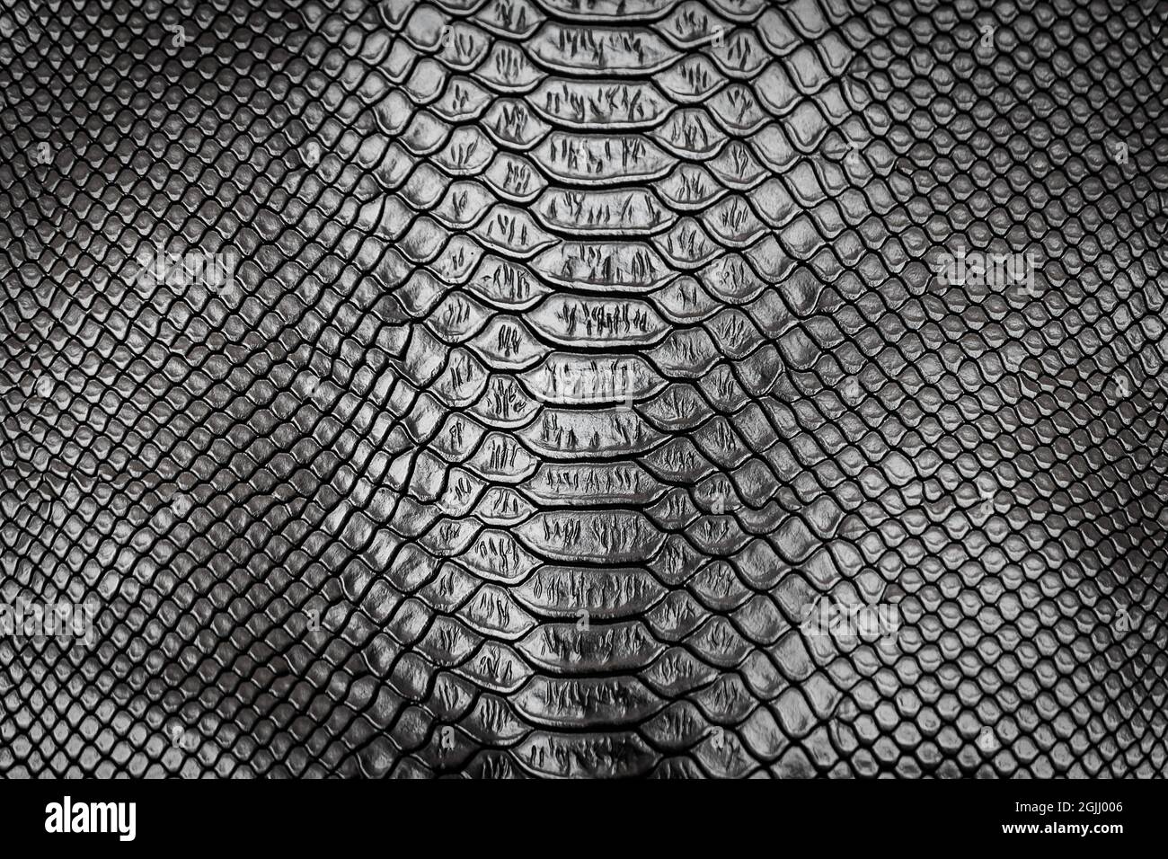Black snake skin pattern texture background Stock Photo - Alamy
