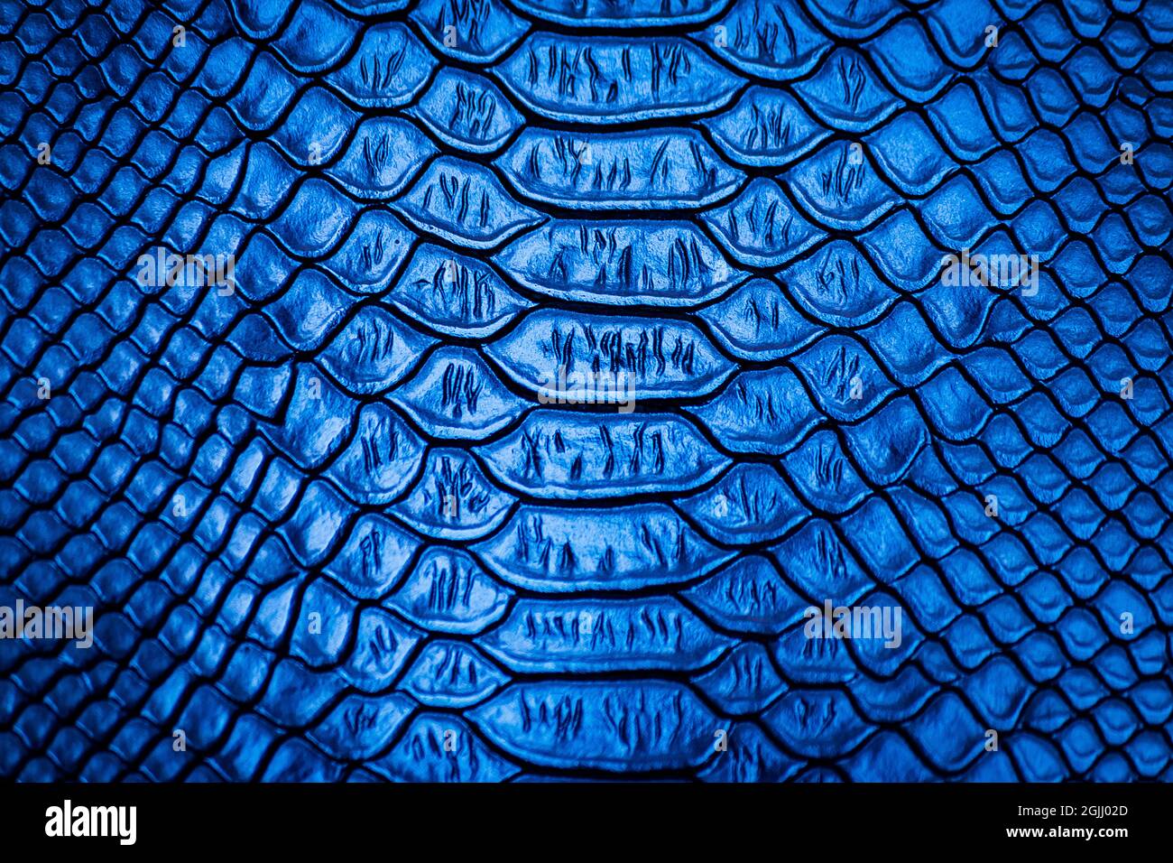 Blue snake skin hi-res stock photography and images - Alamy