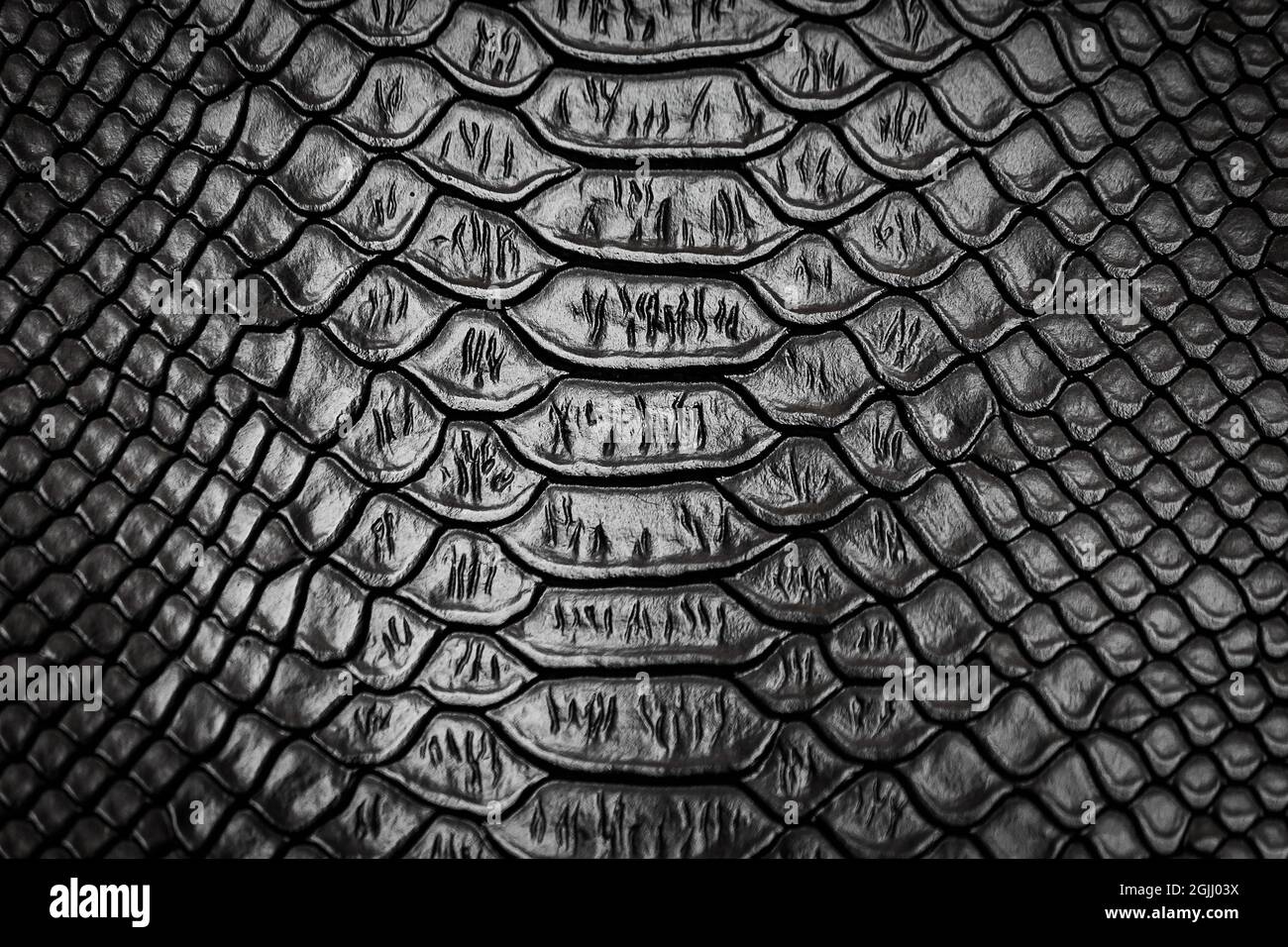 Black snake skin pattern texture background Stock Photo - Alamy