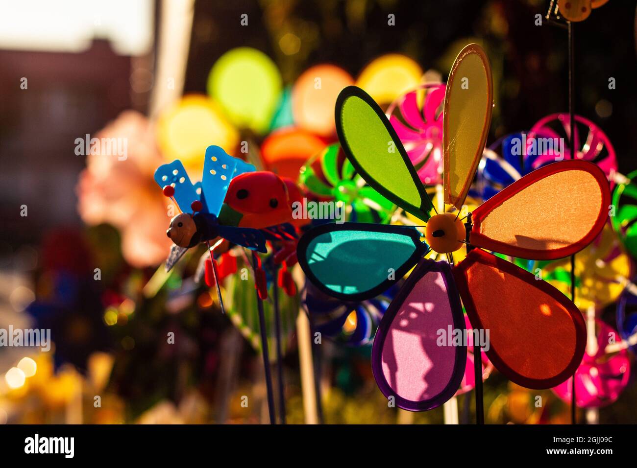 Colorful pinwheels illuminated by a sun | Close photo of vivid color ...