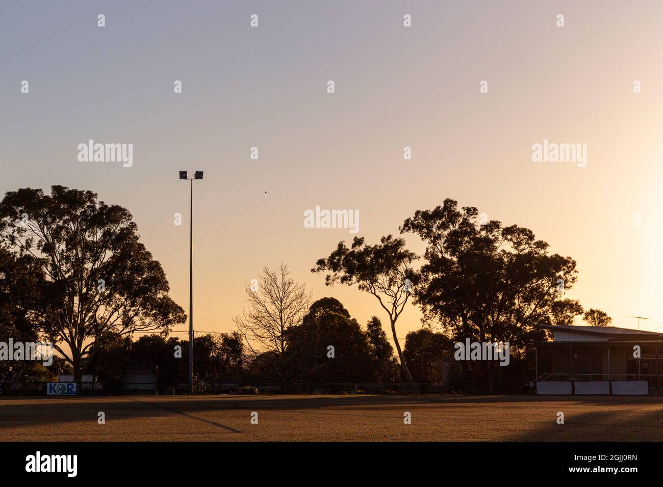 Trees against sunset sky in suburb Stock Photo - Alamy
