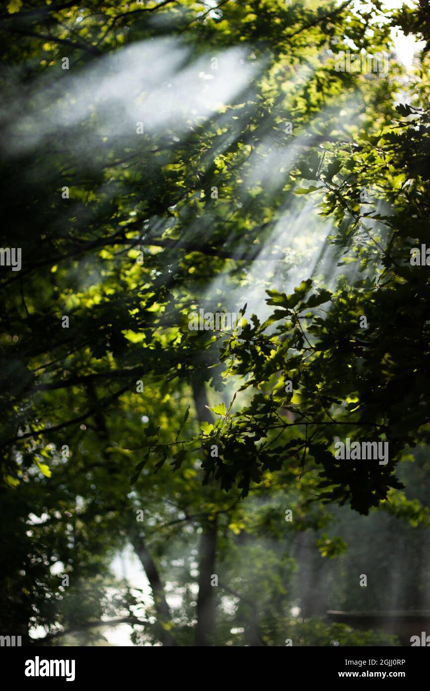 Sun shining through smoke hi-res stock photography and images - Alamy