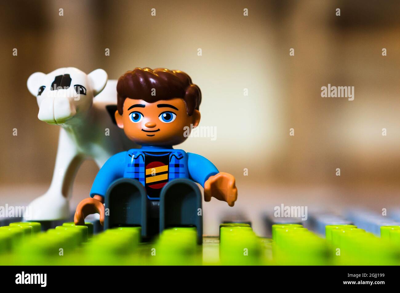 POZNAN, POLAND - Sep 28, 2020: A Lego Duplo man and a cow being friends ...