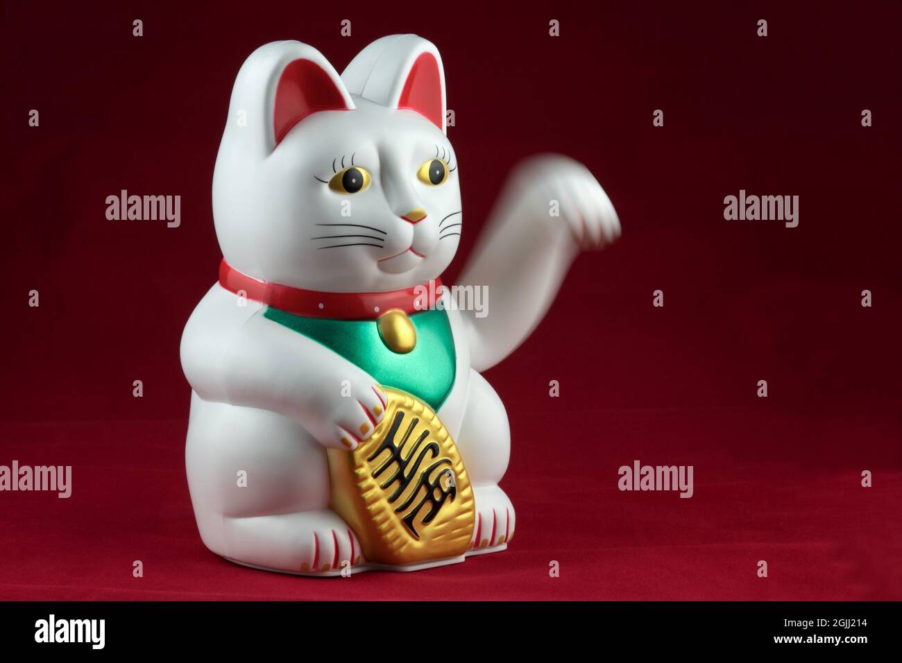 Good fortune cat hi-res stock photography and images - Alamy