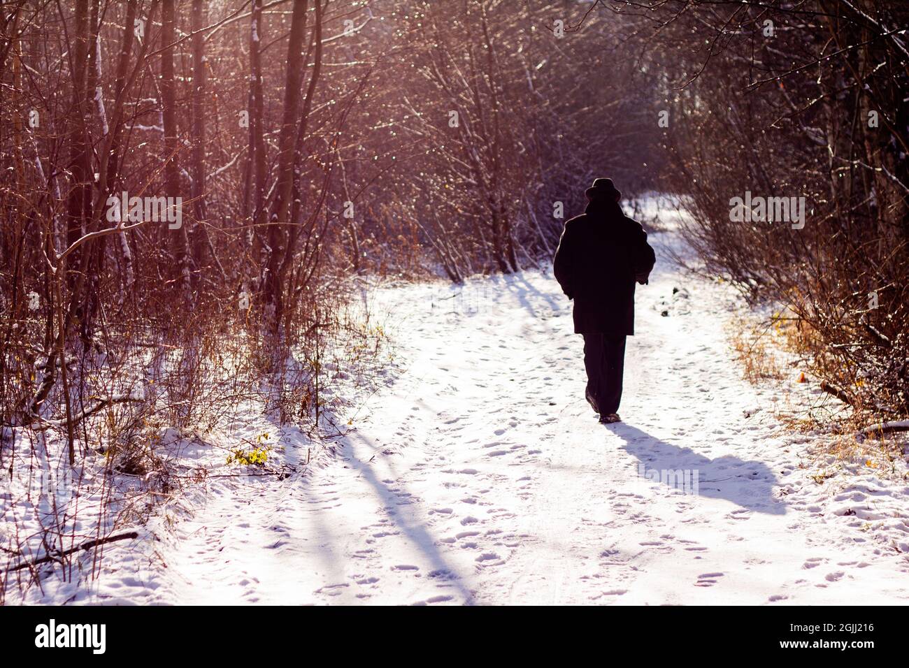 Man walking the path in the forest in the winter | Back view photo of a ...