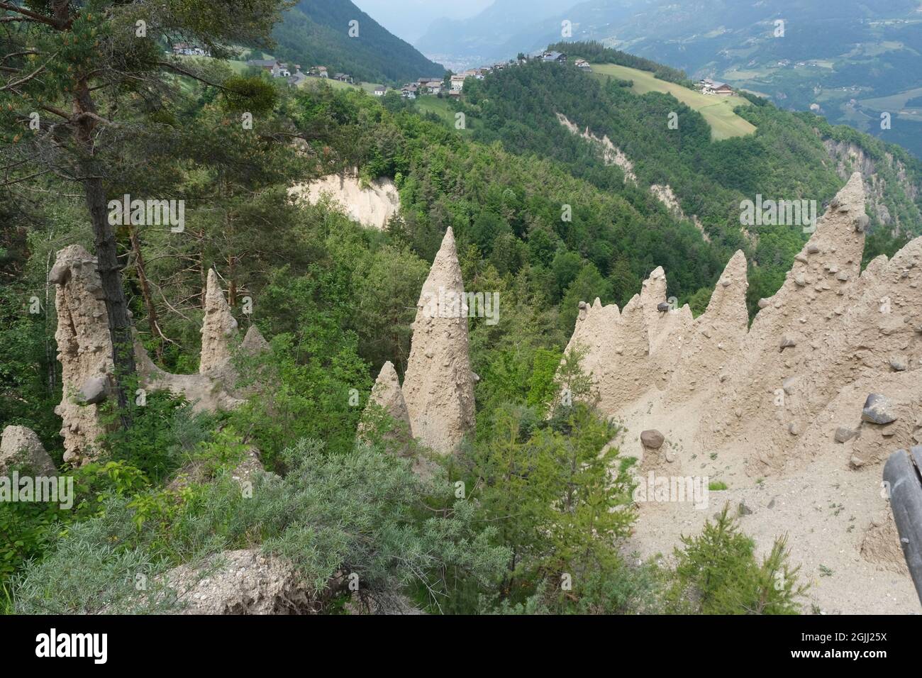 Ecological pyramid hi-res stock photography and images - Alamy