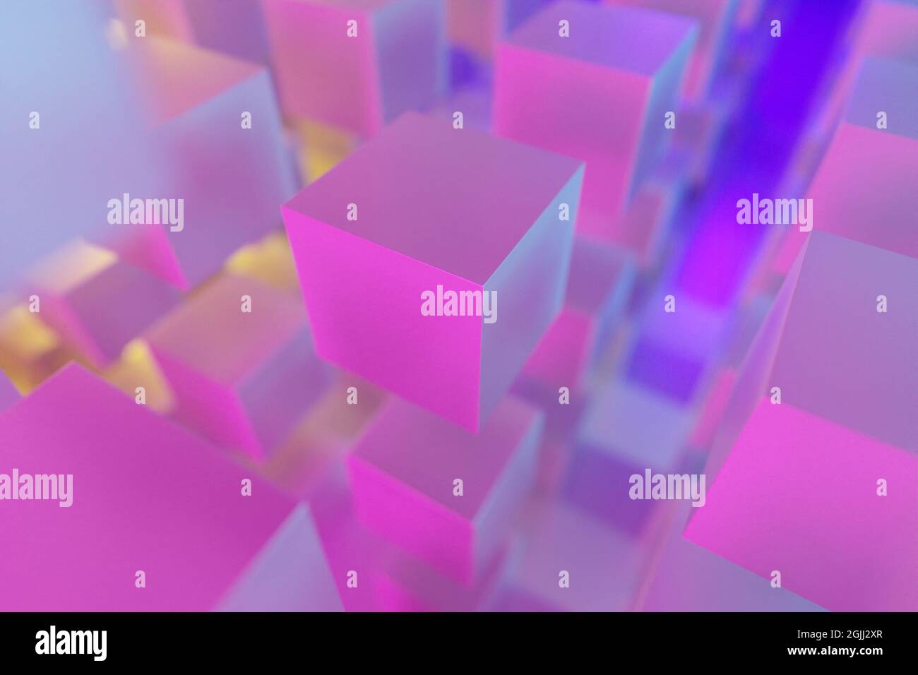 3d illustration of rows of pink cube.Set of squares on monocrome ...