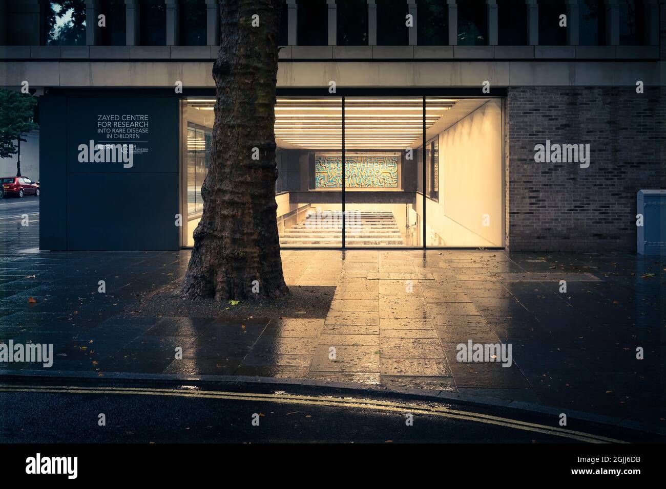 Zayed Centre For Research Into Rare Disease In Children