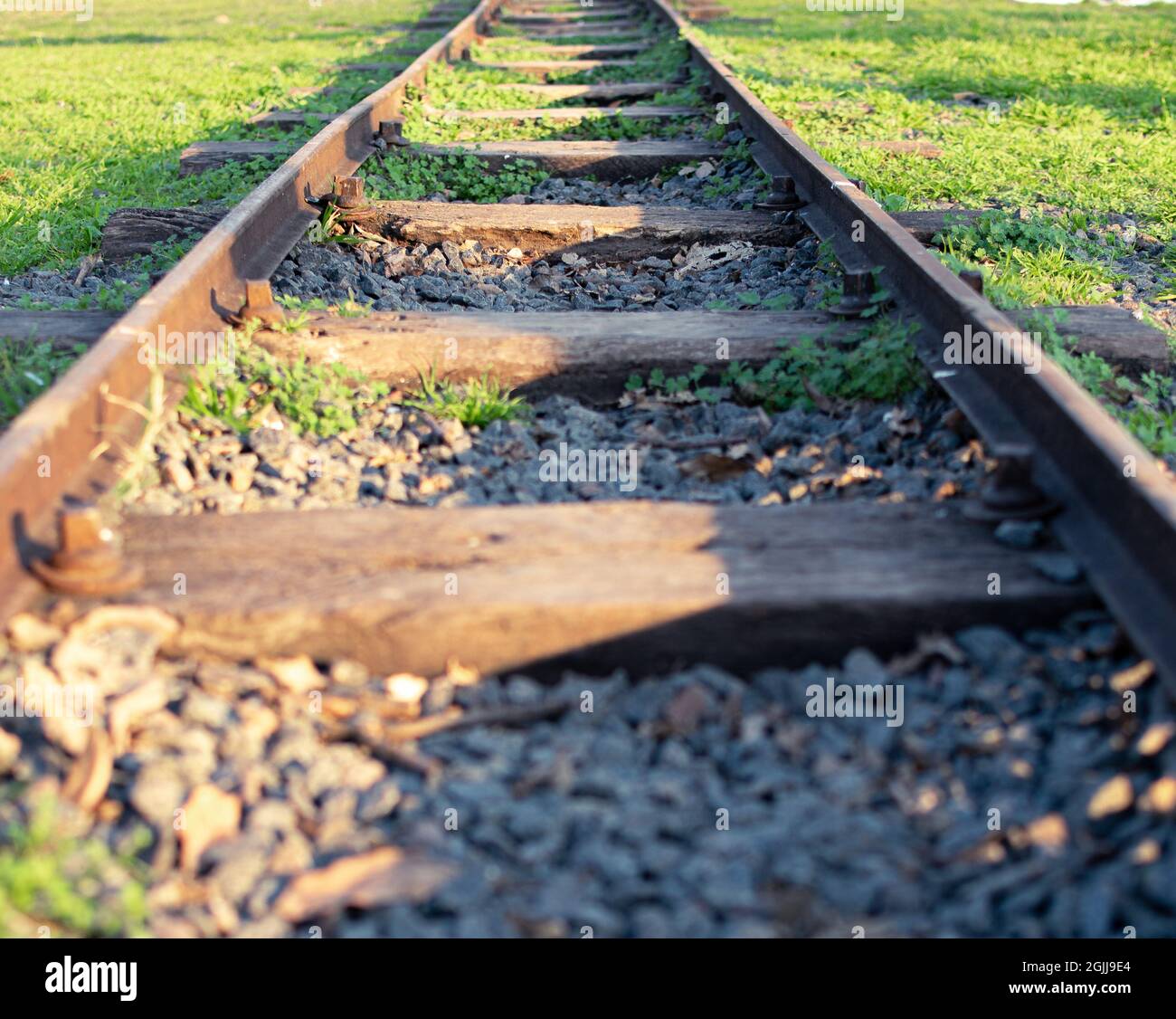 Selective of train railroad tracks in greenery Stock Photo - Alamy
