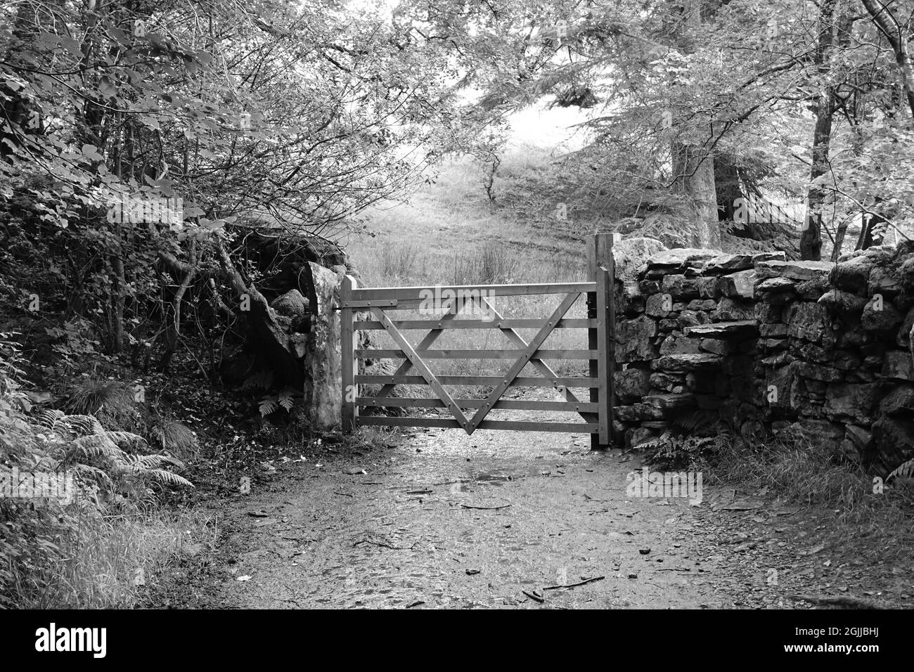 Old wooden field gate Black and White Stock Photos & Images - Alamy