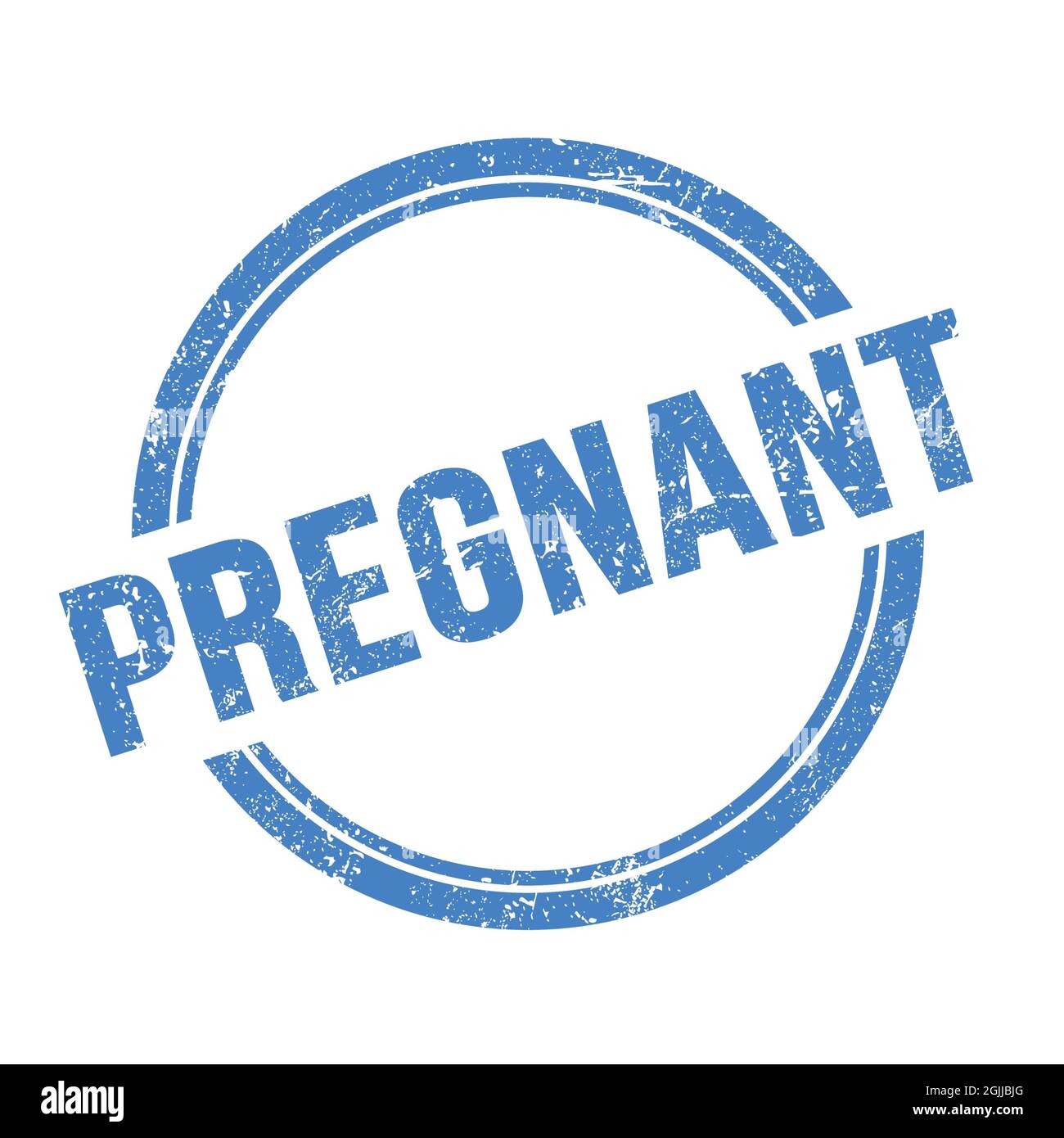 Pregnant seal Cut Out Stock Images & Pictures - Alamy