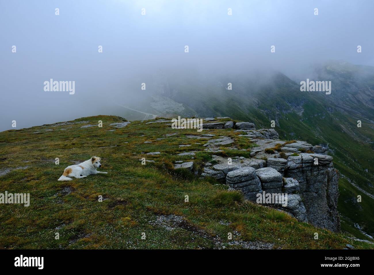 Gorgeous foggy landscape n the way to Omu Peak , Babele - Omu Chalet ...