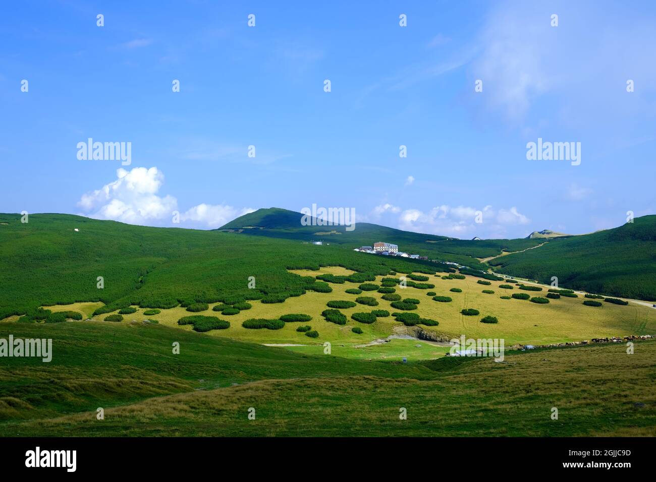 Beautiful landscape on the Bucegi Plateau, with Jepii Mari and Piatra ...