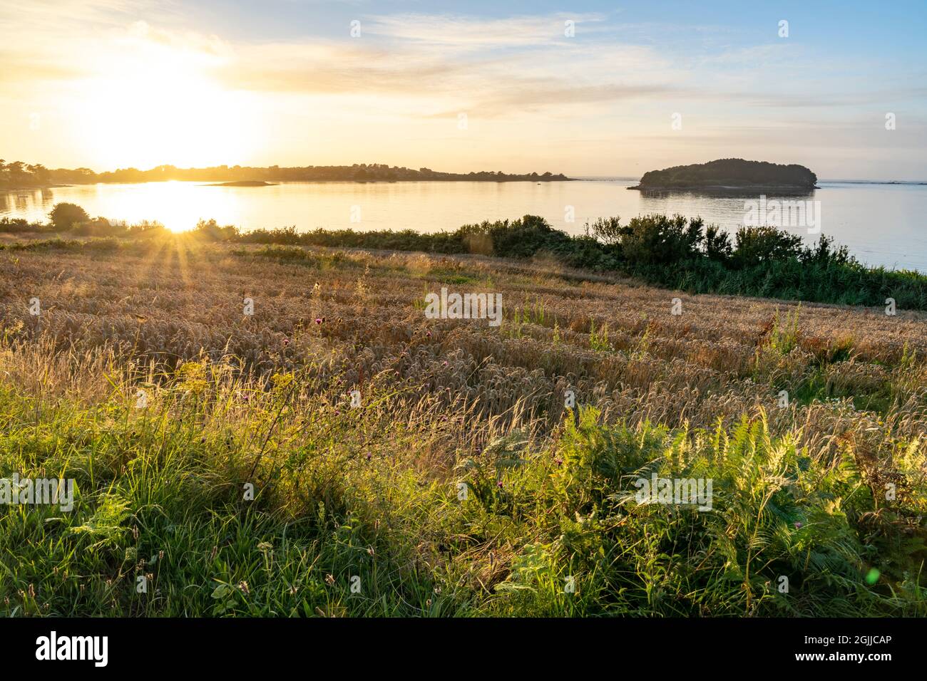 Cote de granit rose in der bretagne hi-res stock photography and images ...