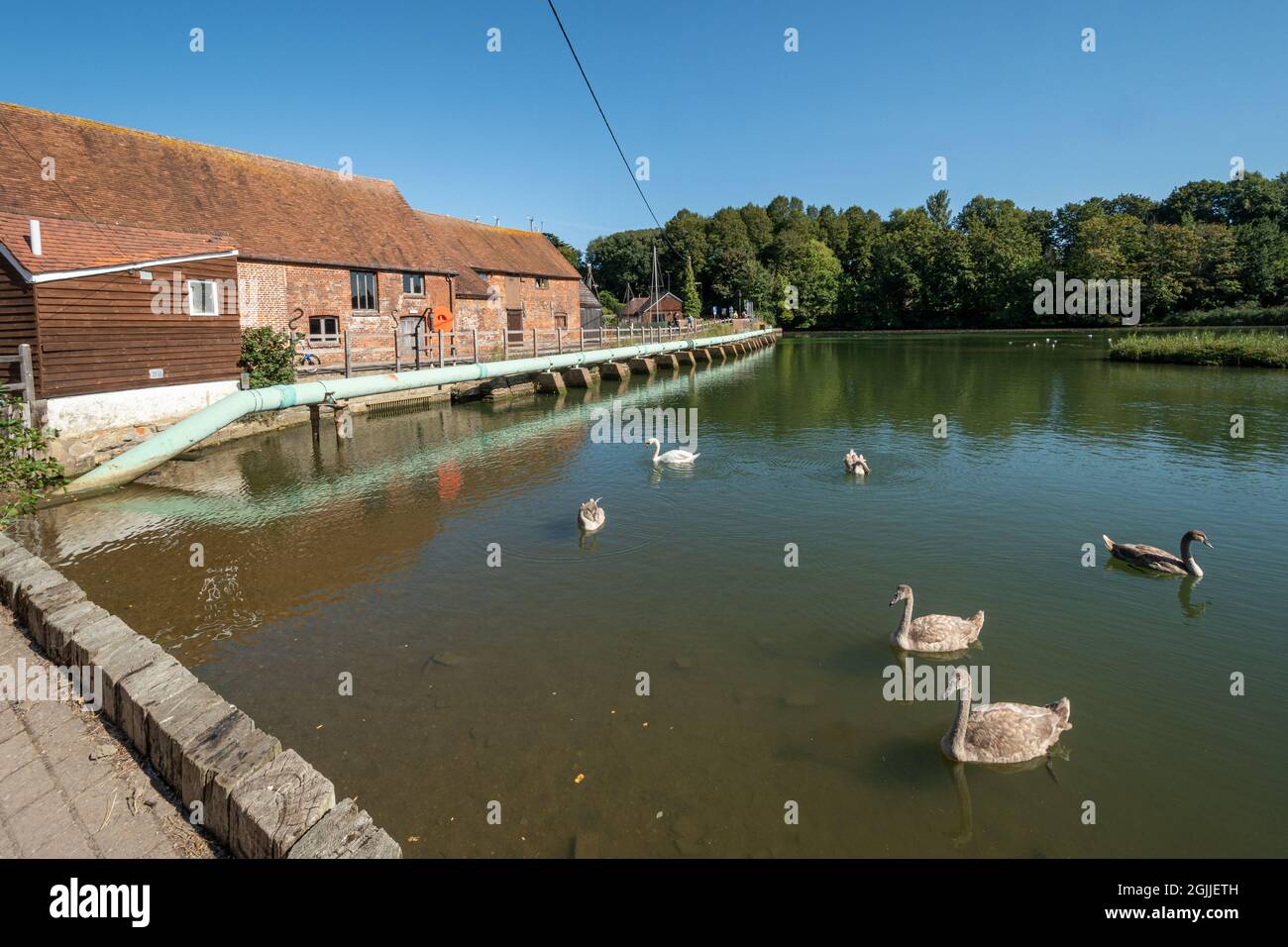 Eling Tide Mill, Bartley Water and the mill pool with swans in ...