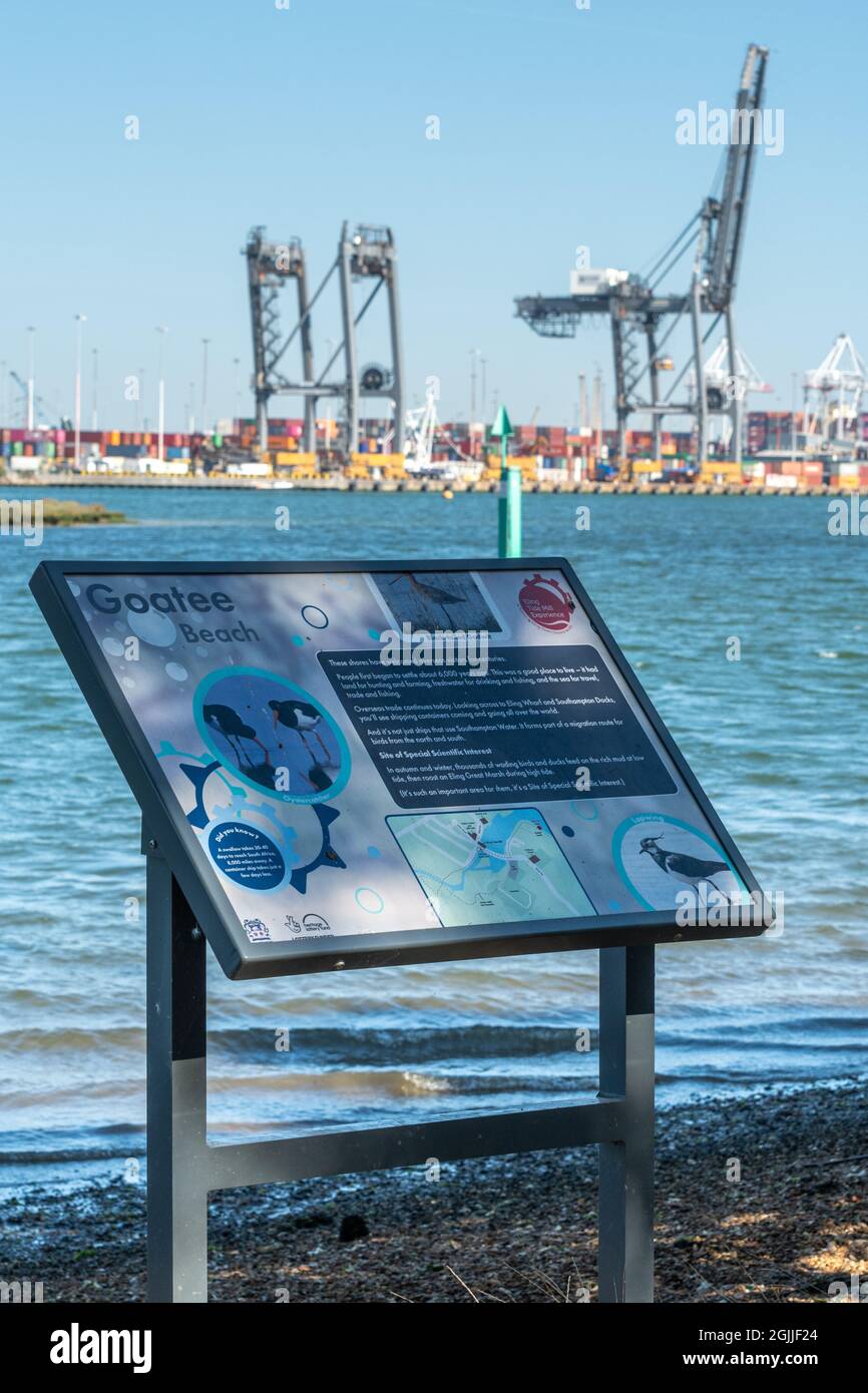 Port of Southampton (Southampton docks) in Hampshire, England, UK. View ...