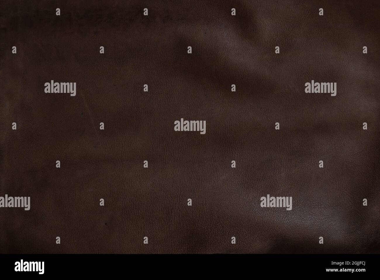 Modern leather texture hi-res stock photography and images - Alamy