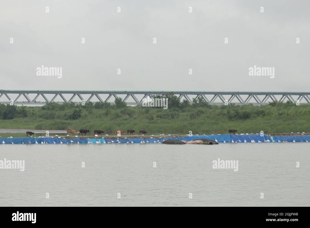 Jun 19, 2021, Approach Road, Mawa, Bangladesh. Padma Bridge in the ...