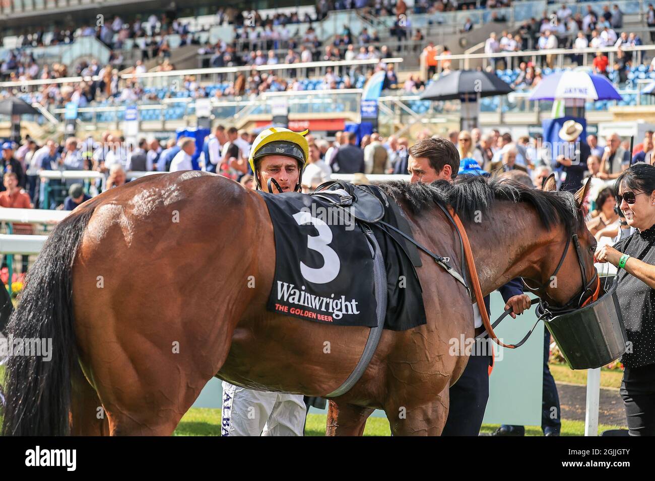 Flying childers hi-res stock photography and images - Alamy