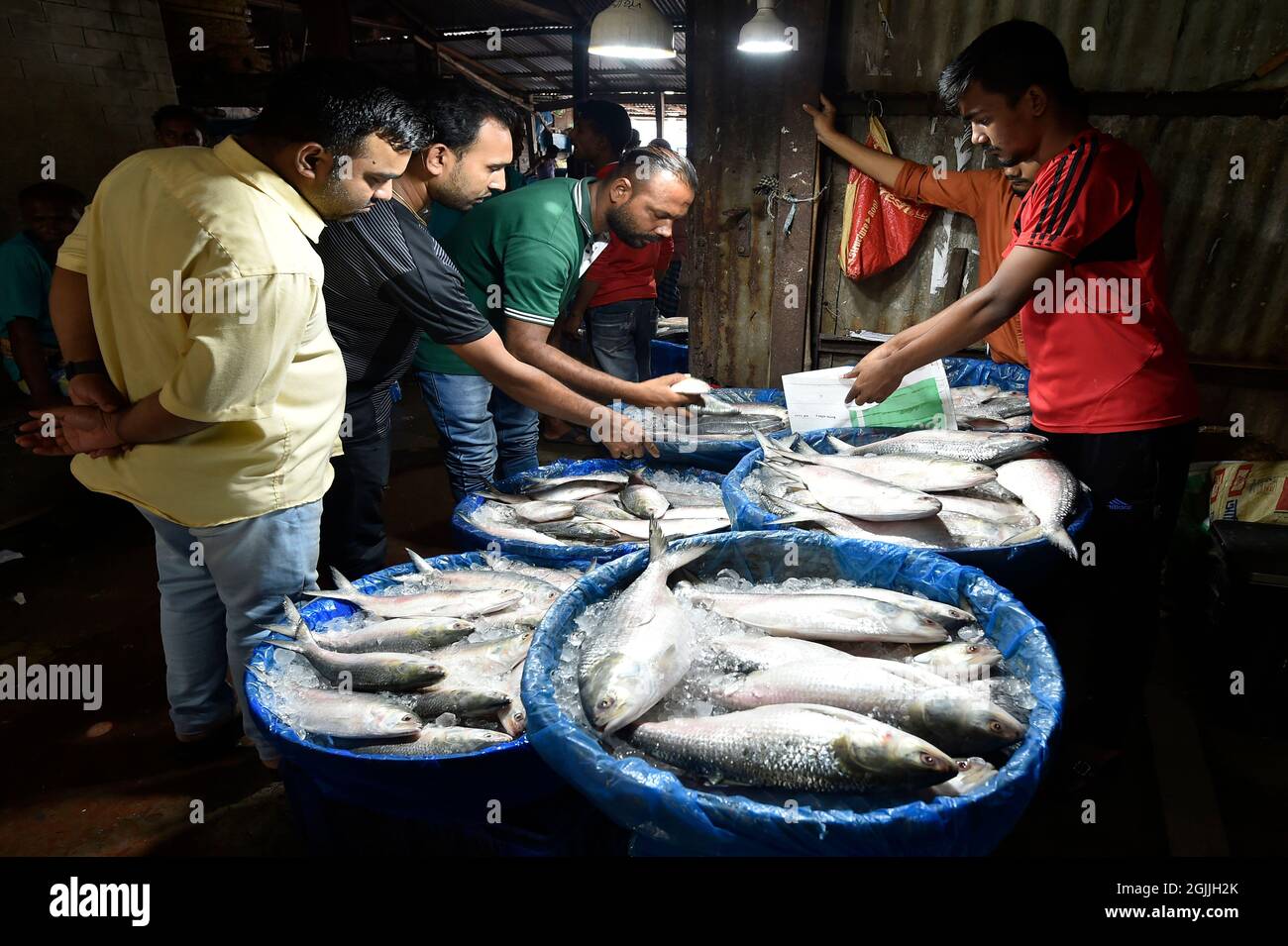 Fish landing station hi-res stock photography and images - Alamy