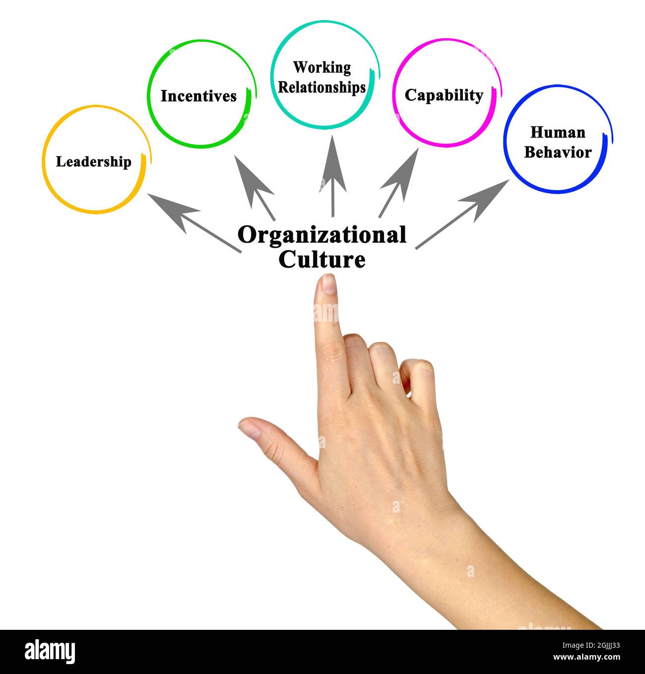 Five facets of Organizational Culture Stock Photo - Alamy