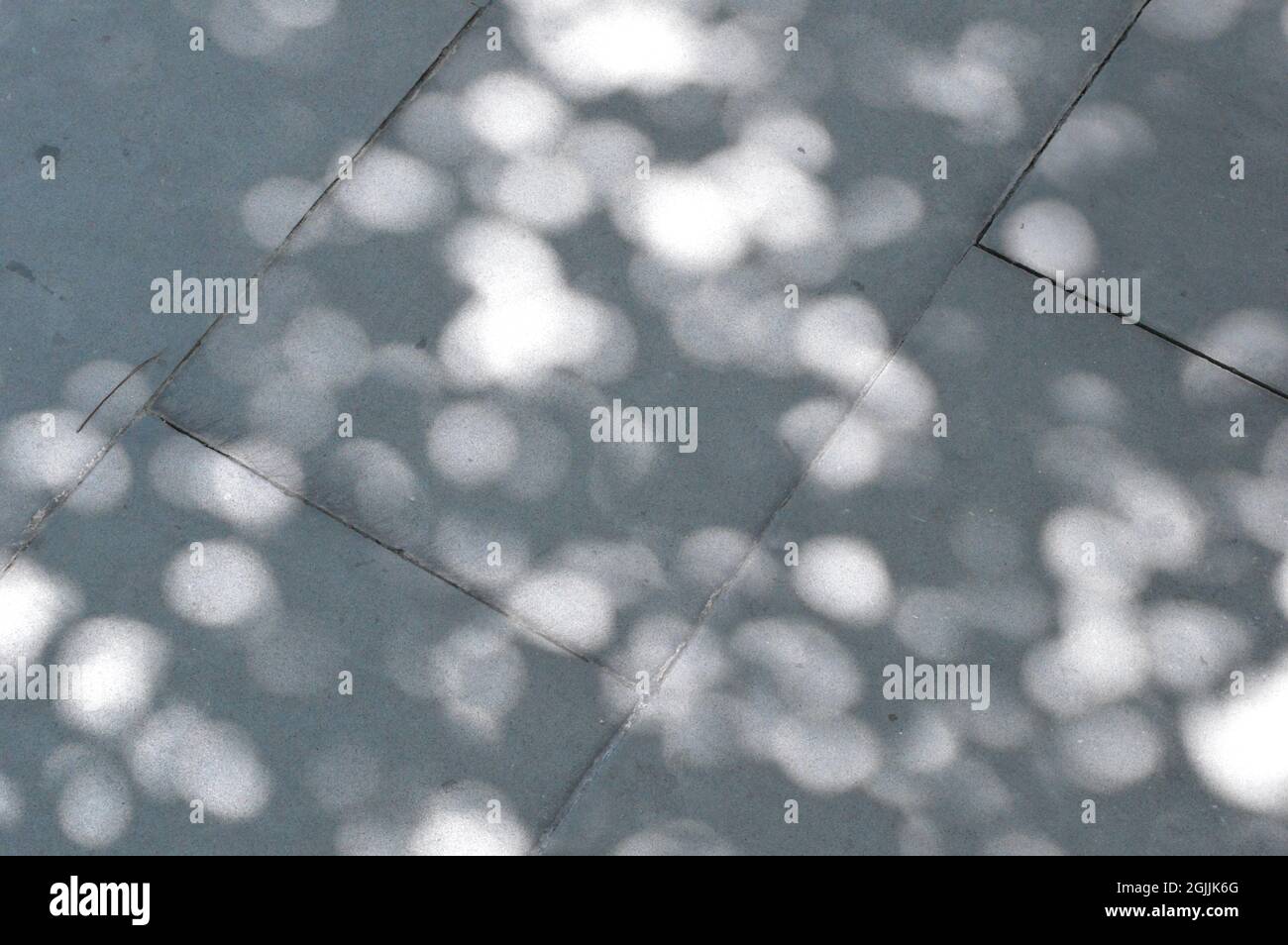 Sunlight filtered through leaves hi-res stock photography and images ...