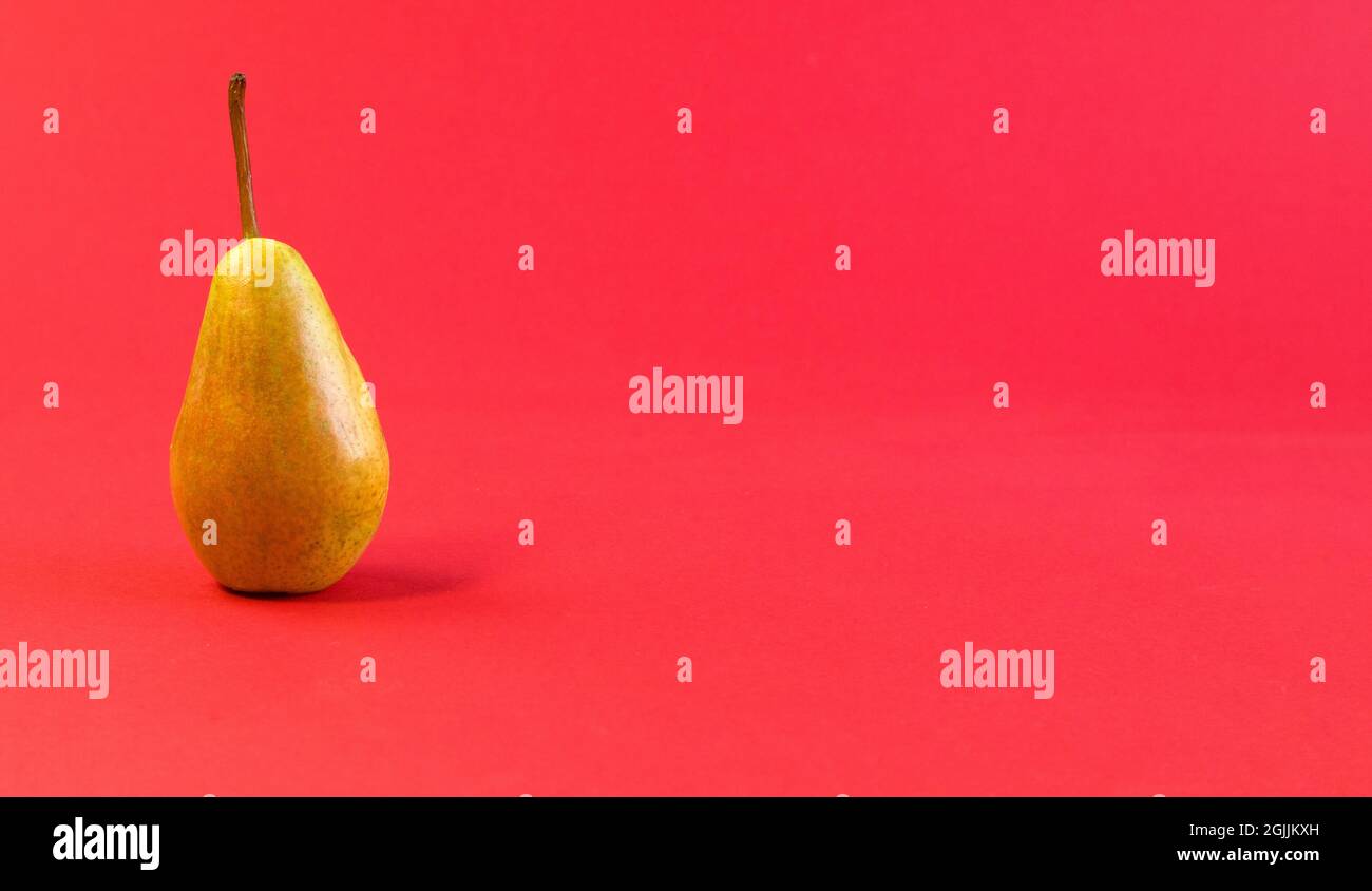 One juicy ripe yellow pear on bright red background close-up front view ...