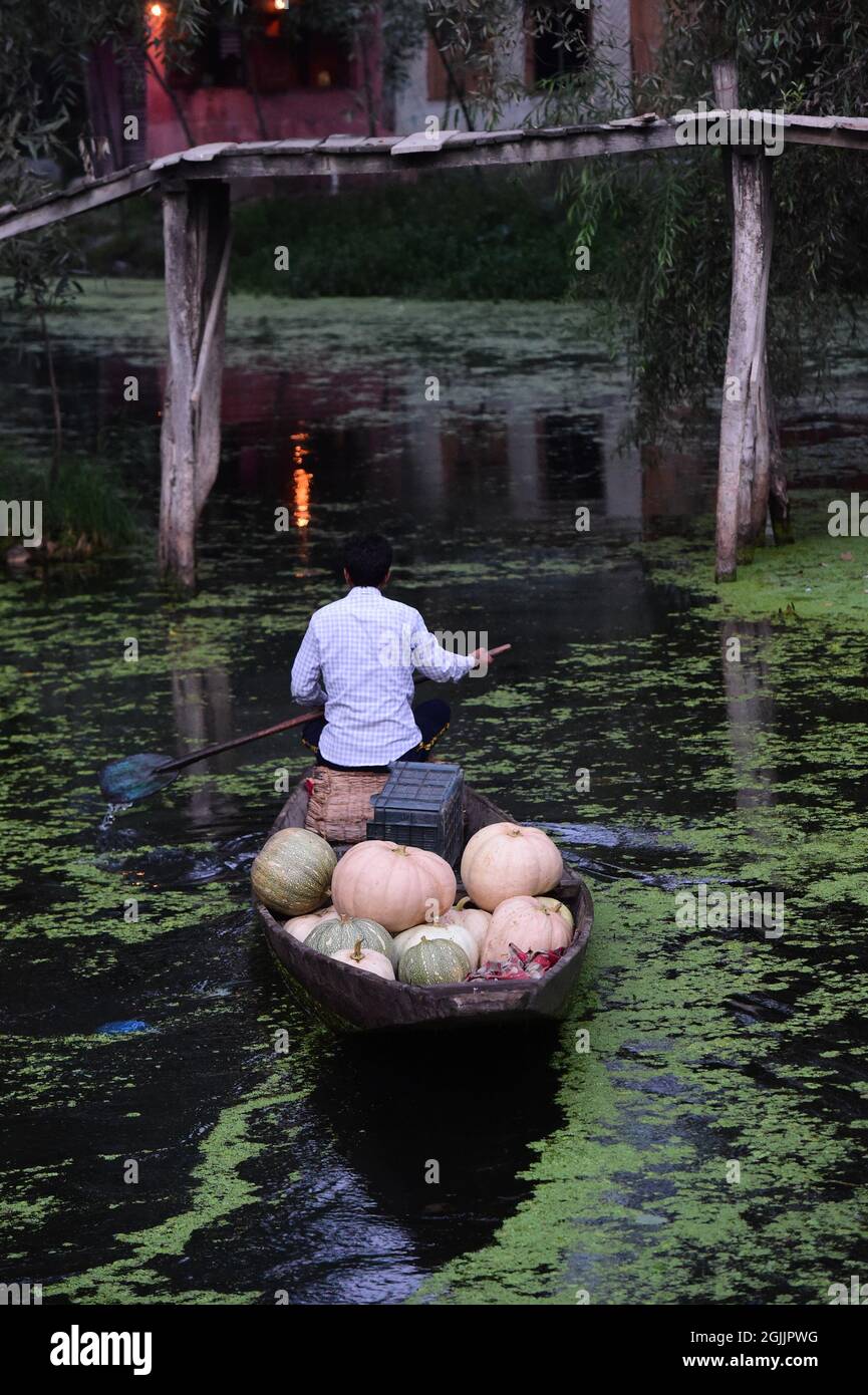 Srinagar, India. 10th Sep, 2021. A Kashmiri vendor rows his boat at the ...