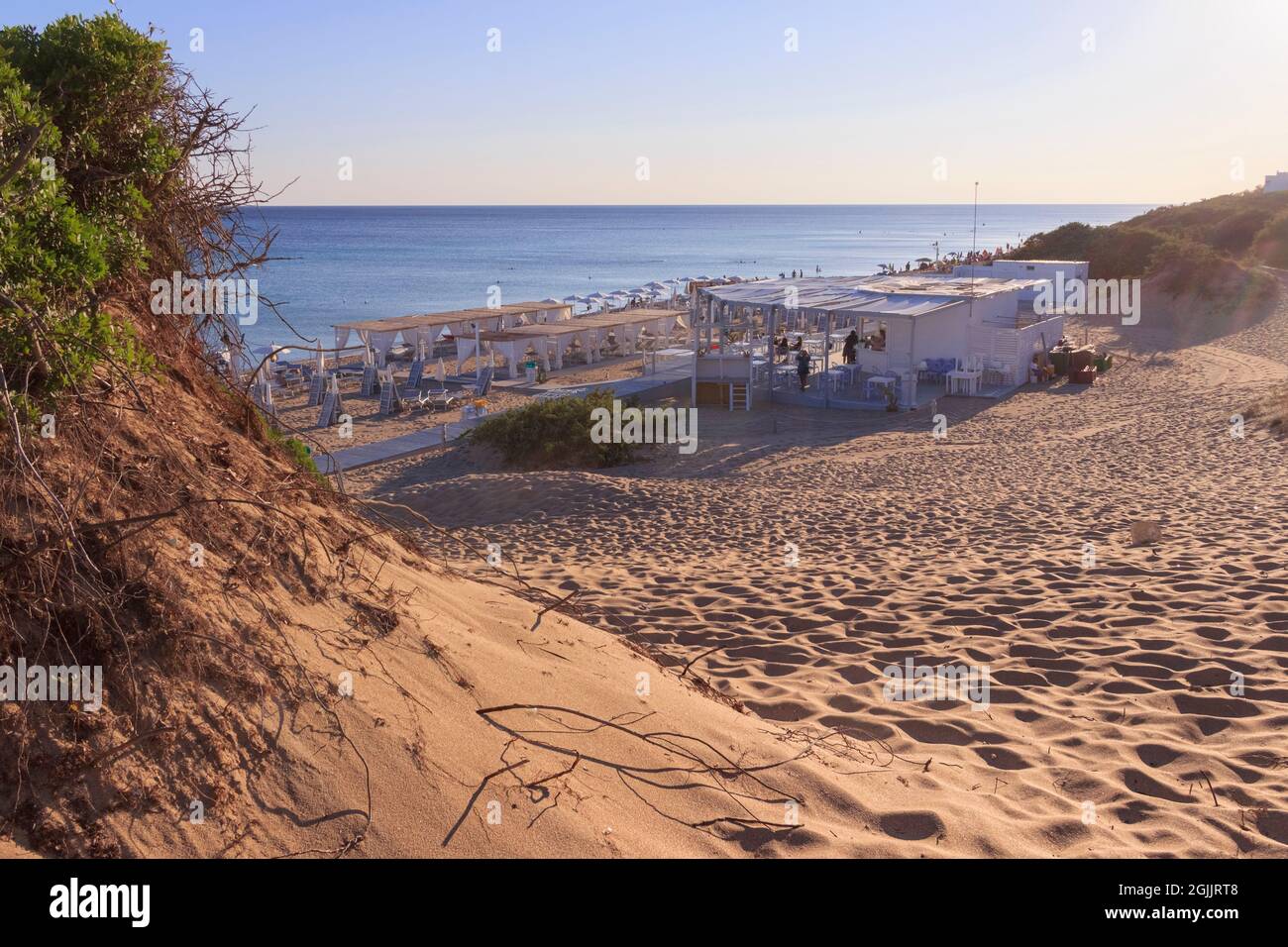 Typical sandy beach with dunes in Puglia, Italy: the beach of San ...