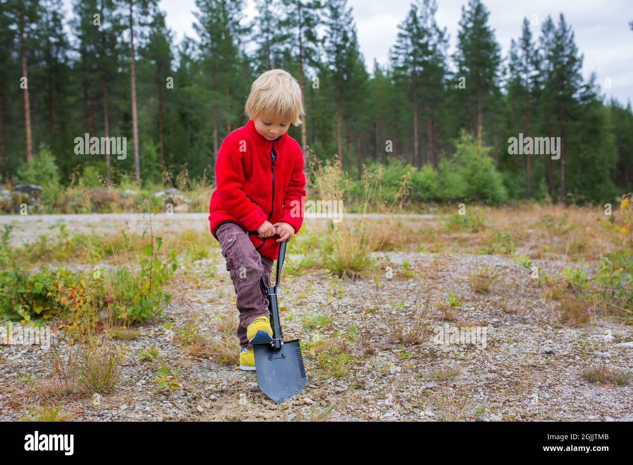 Cute child, digging a hole, cleaning after himself on a wild camping in ...