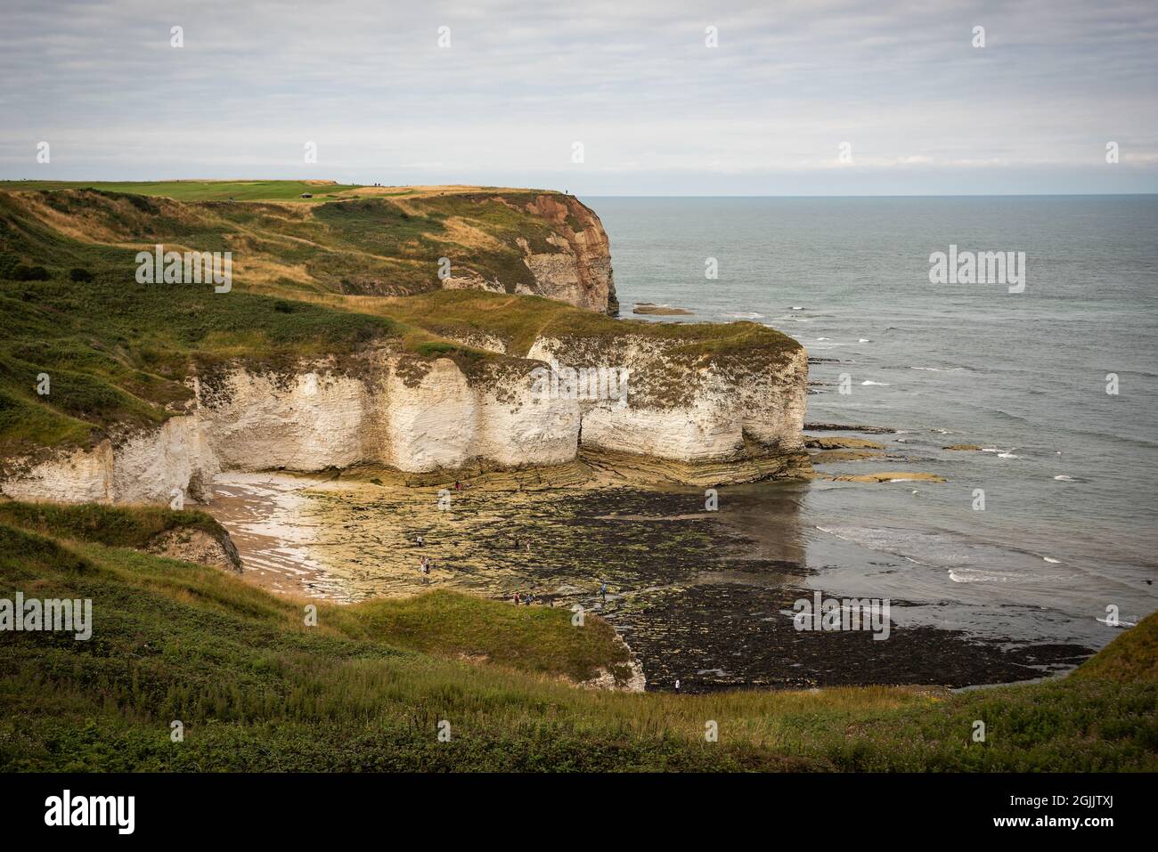 Sea cliffs seagulls hi-res stock photography and images - Alamy