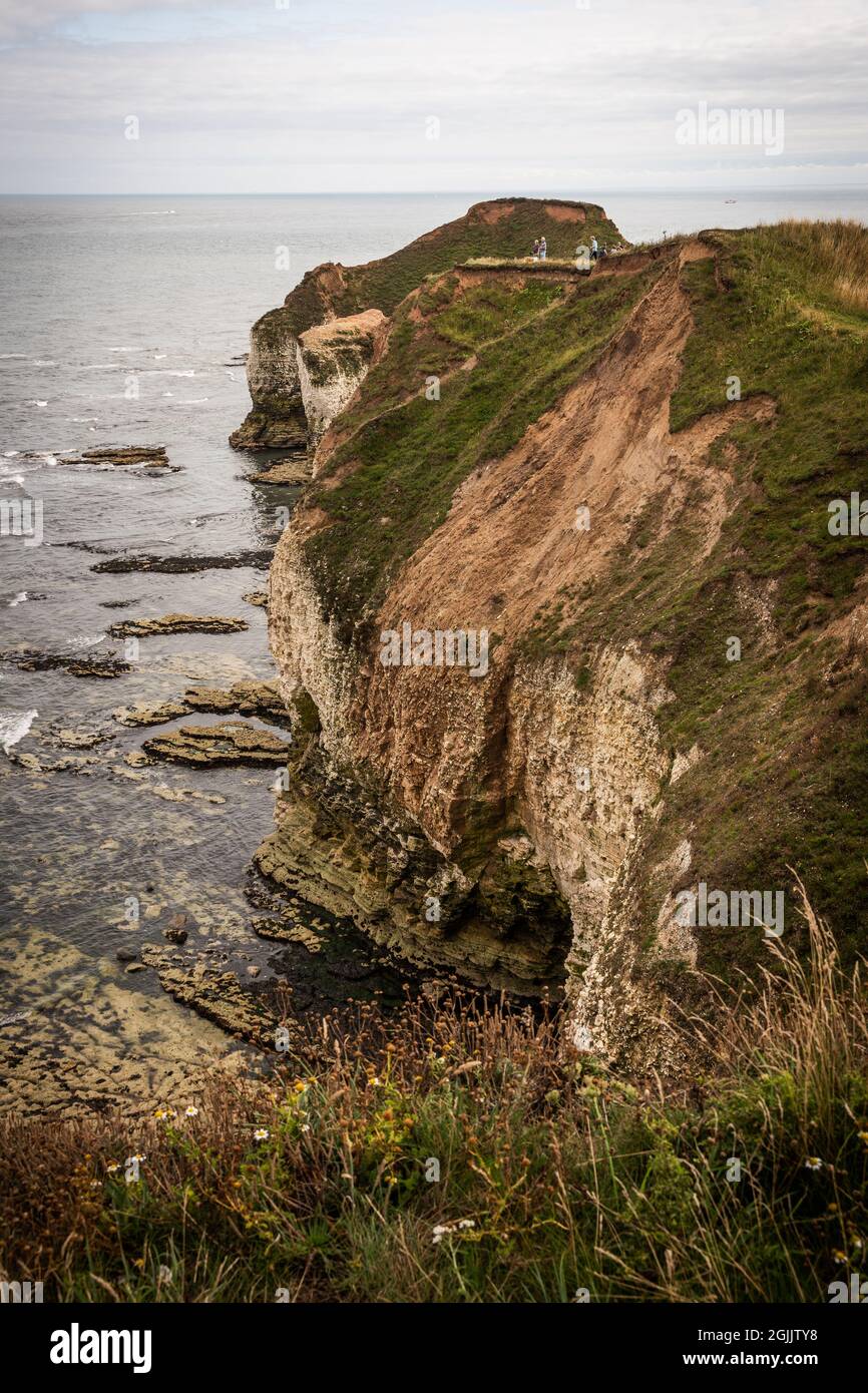 The chalk cliffs of Flamborugh Head in East Yorkshire, UK Stock Photo ...