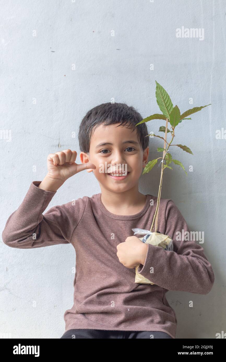 Kratom tree seedlings ready to be planted in the ground. A cute boy sat ...