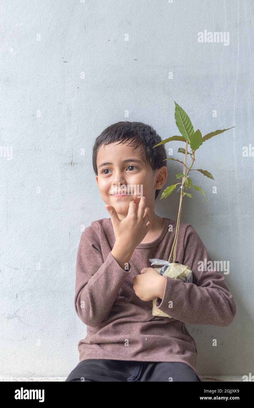 Kratom tree seedlings ready to be planted in the ground. A cute boy sat ...