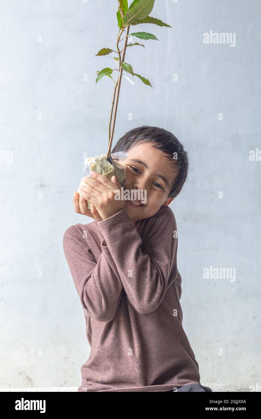 Kratom tree hi-res stock photography and images - Alamy