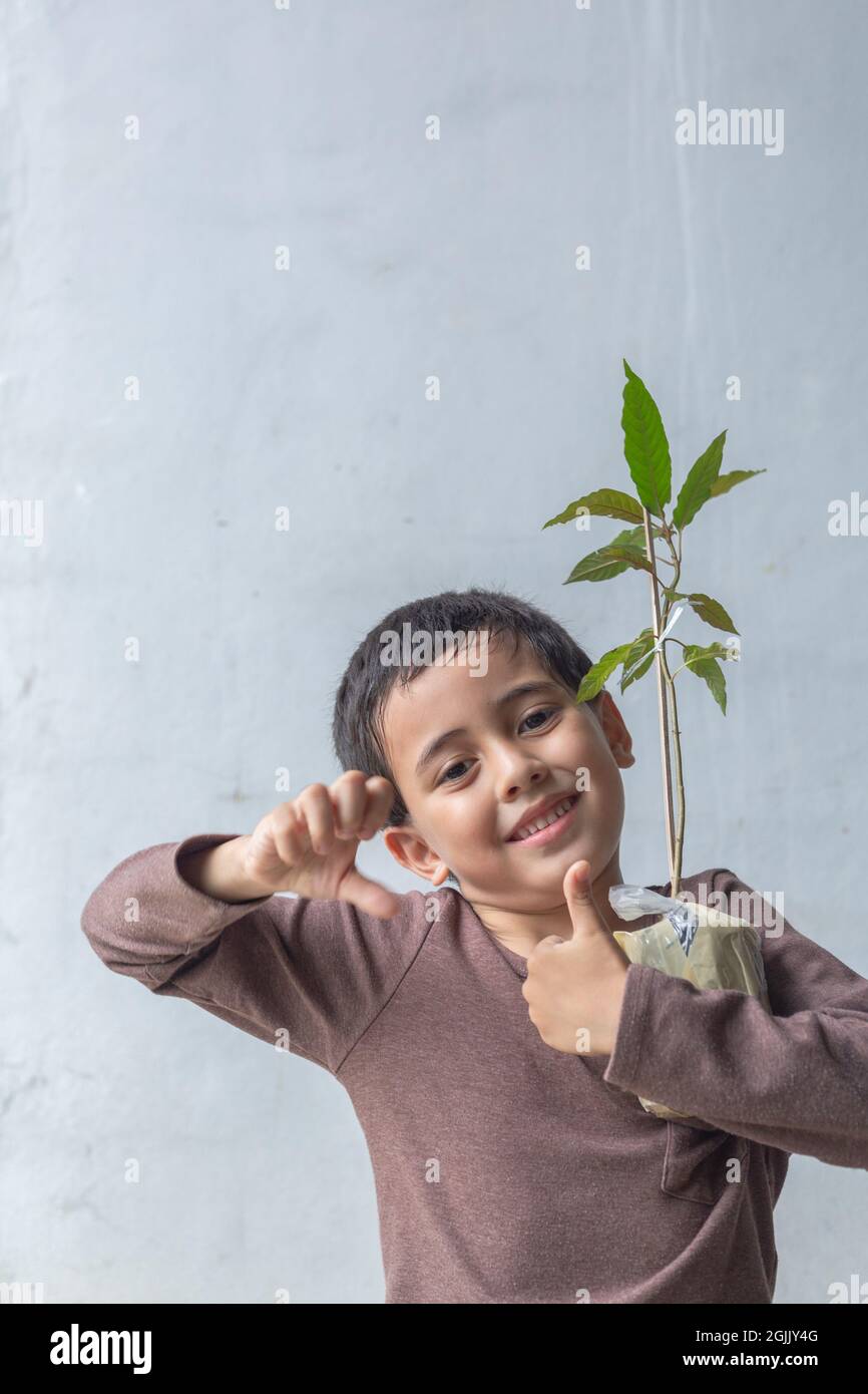 Kratom tree seedlings ready to be planted in the ground. A cute boy sat ...