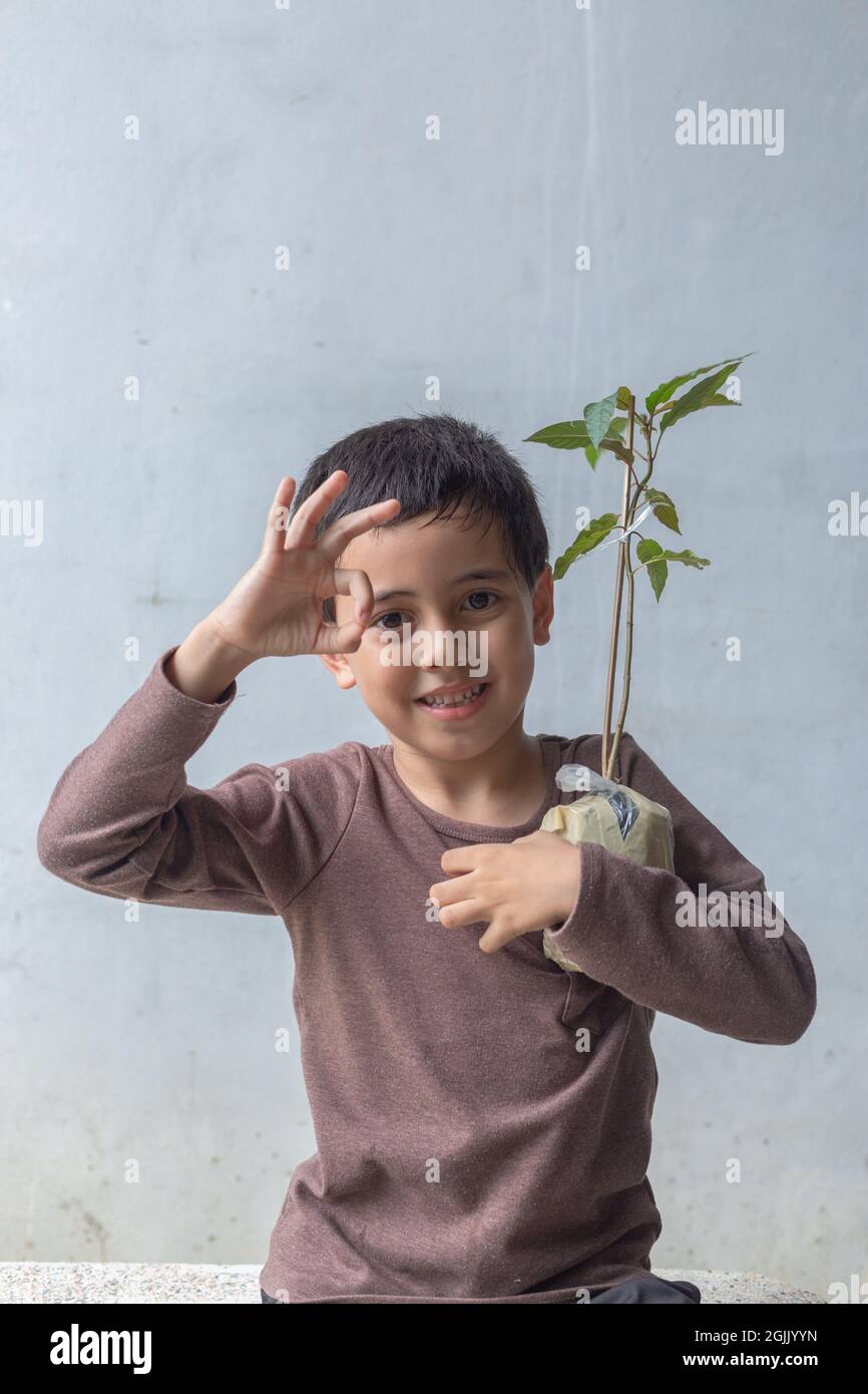 Kratom tree hi-res stock photography and images - Alamy