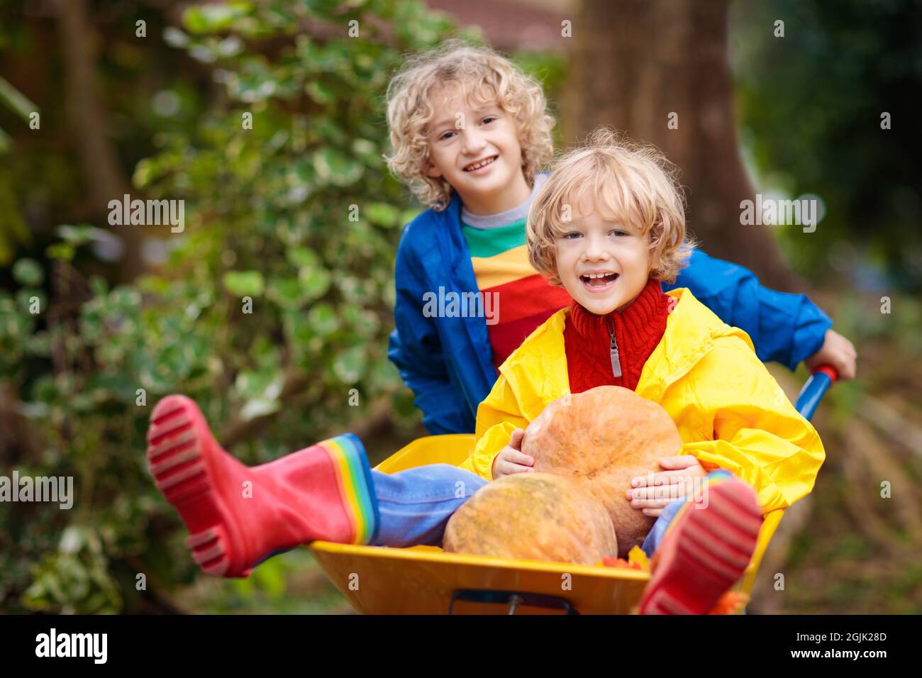 Kids in wheelbarrow on pumpkin patch. Autumn outdoor fun for children ...