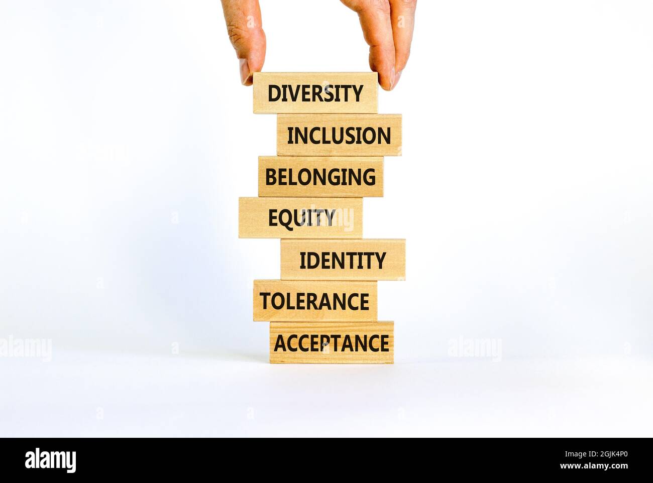 Diversity, inclusion symbol. Diversity belonging inclusion equity ...